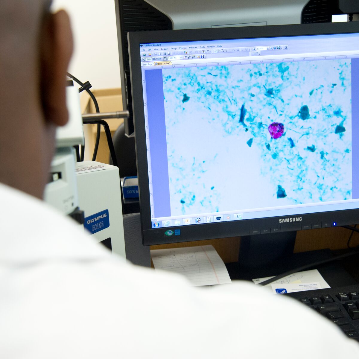 CDC Foundation Announces New Workforce Acceleration Initiative (WAI) to ...