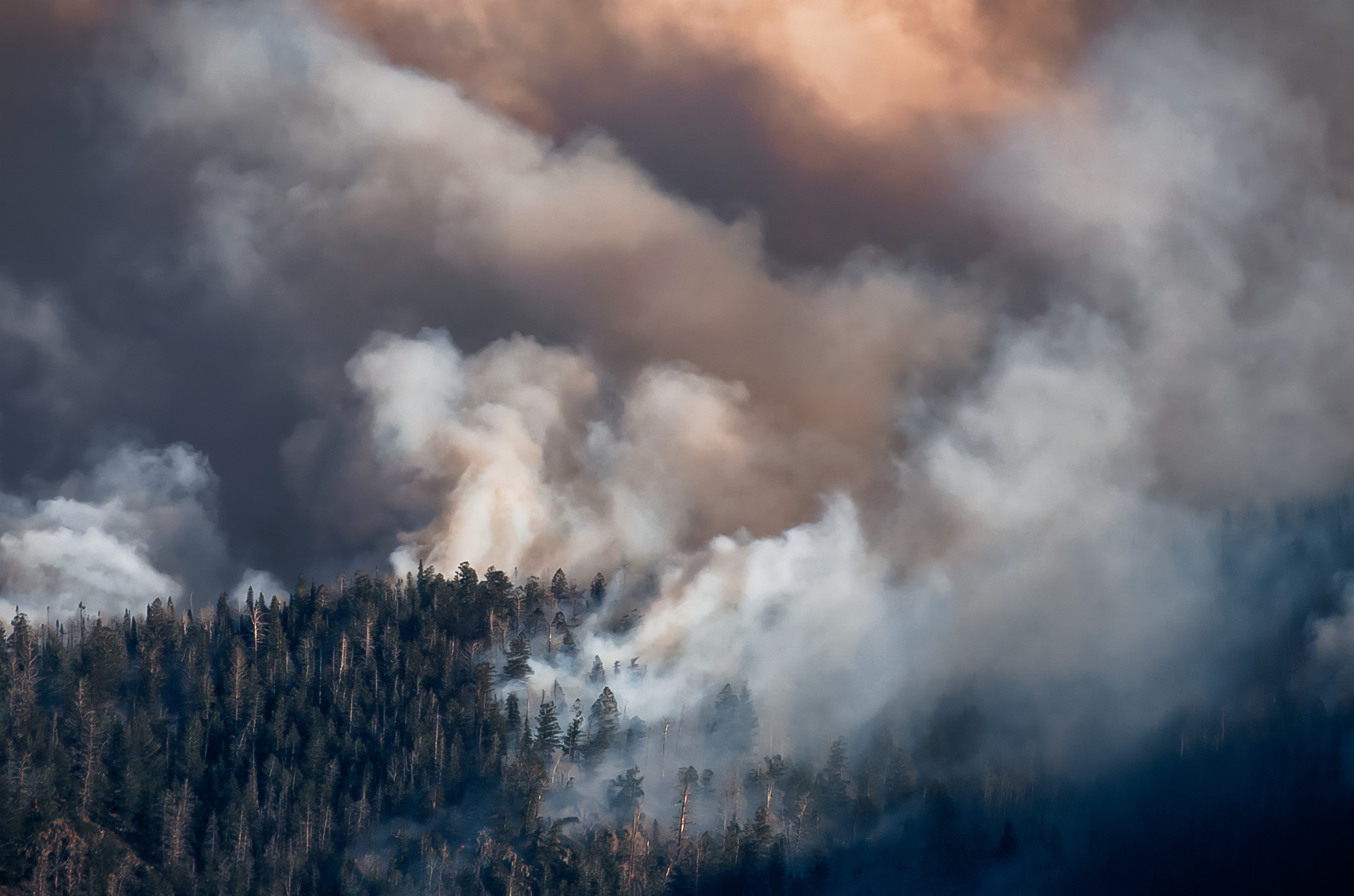 Breathing Easier: Air Quality Monitors Track Wildfire Smoke | CDC ...