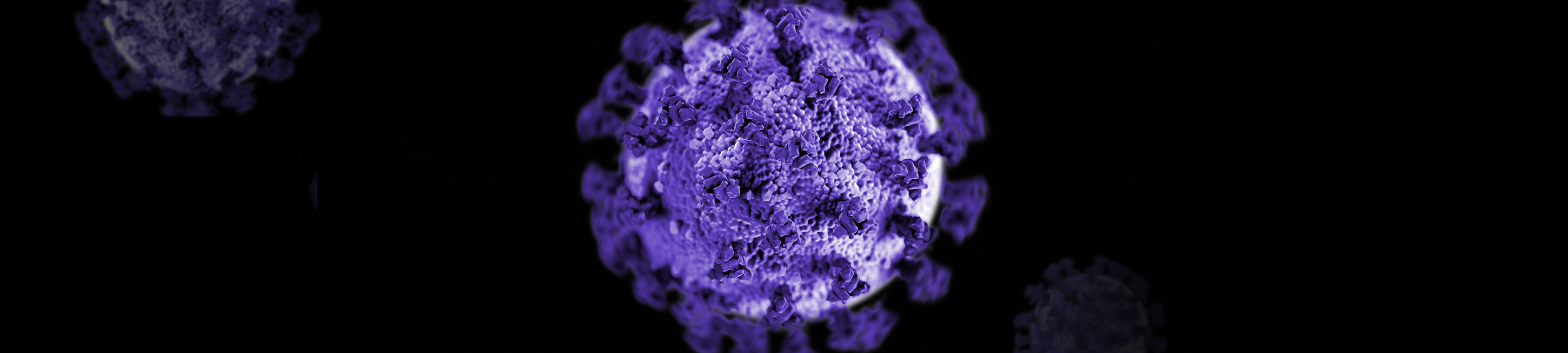 Contagious Conversations Season 5: Exploring the COVID-19 Pandemic, Its ...