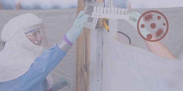 Rotavirus | CDC Foundation